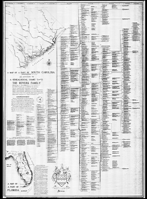 Many ancestors, many siblings, many descendants, many cousins | JPR ...